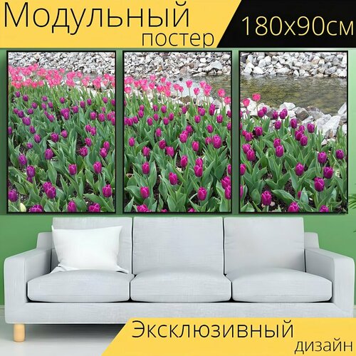 Модульный постер "Цветы, растения, фиолетовый" 180 x 90 см. для интерьера