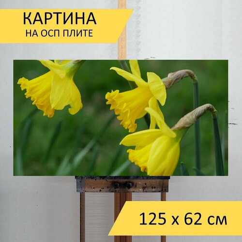 Картина на ОСП 125х62 см. "Нарциссы, весенний луг, цветущий" горизонтальная, для интерьера, с креплениями