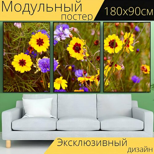 Модульный постер "Цветы, полевые цветы, природа" 180 x 90 см. для интерьера