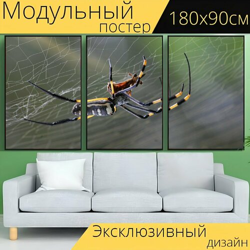 Модульный постер "Паук, паукообразный, паутина" 180 x 90 см. для интерьера
