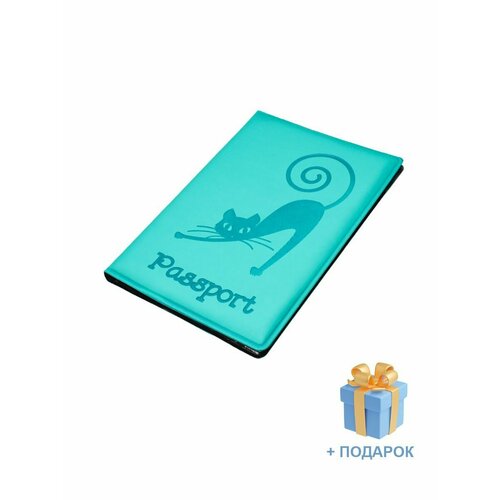 Обложка для паспорта Morelly Grande, голубой