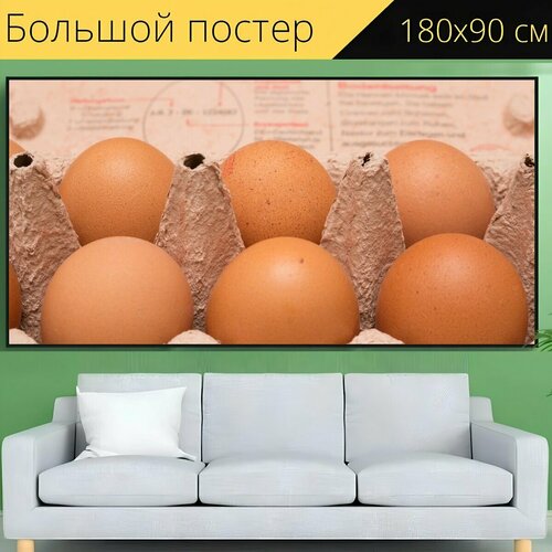 Большой постер "Яйца, куриное яйцо, биография" 180 x 90 см. для интерьера