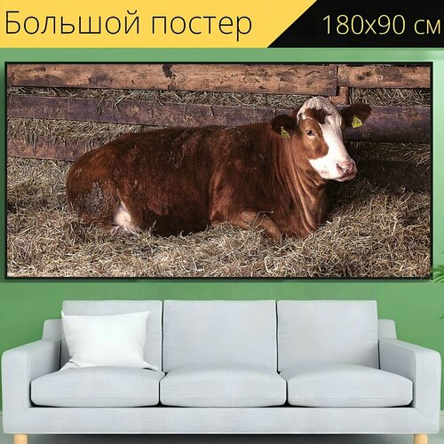 Большой постер "Корова, говядина, сарай" 180 x 90 см. для интерьера
