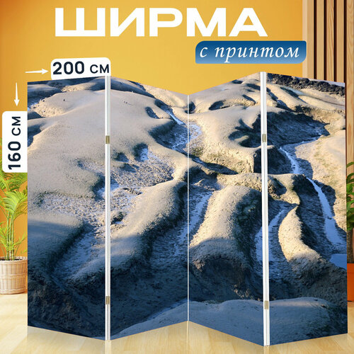 Ширма перегородка с принтом "Песков, отлив, пейзаж" на холсте - 200x160 см. для зонирования, раскладная