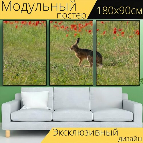 Модульный постер "Животные, кролик, капуцин" 180 x 90 см. для интерьера