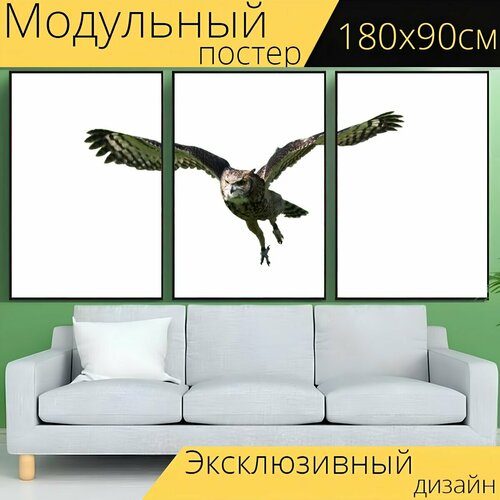 Модульный постер "Сова, летающий, птица" 180 x 90 см. для интерьера