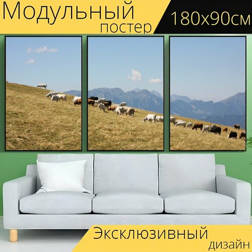 Модульный постер "Стадо, коровы, животное" 180 x 90 см. для интерьера