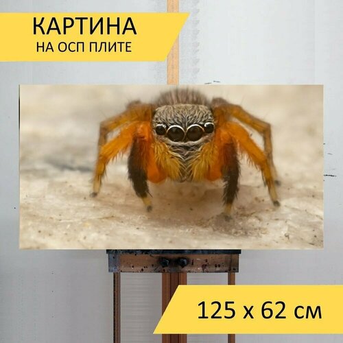 Картина на ОСП 125х62 см. "Паук, насекомые, природа" горизонтальная, для интерьера, с креплениями