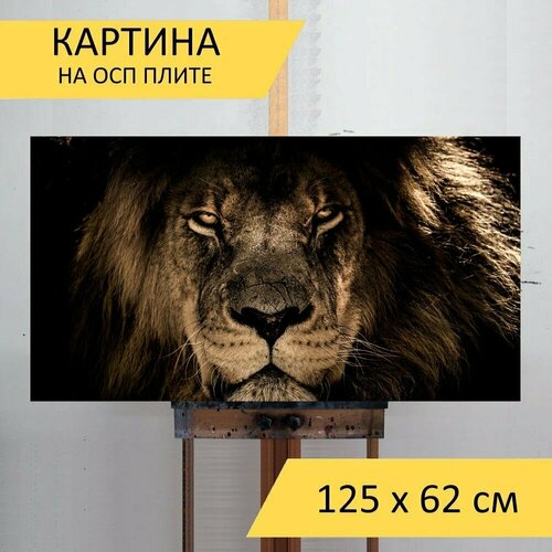 Картина на ОСП 125х62 см. "Африканский лев, дикая кошка, кошачий" горизонтальная, для интерьера, с креплениями
