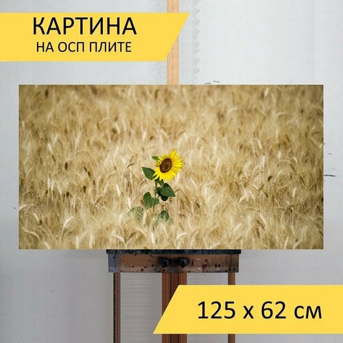 Картина на ОСП 125х62 см. "Подсолнечник, солнце, пшеница" горизонтальная, для интерьера, с креплениями
