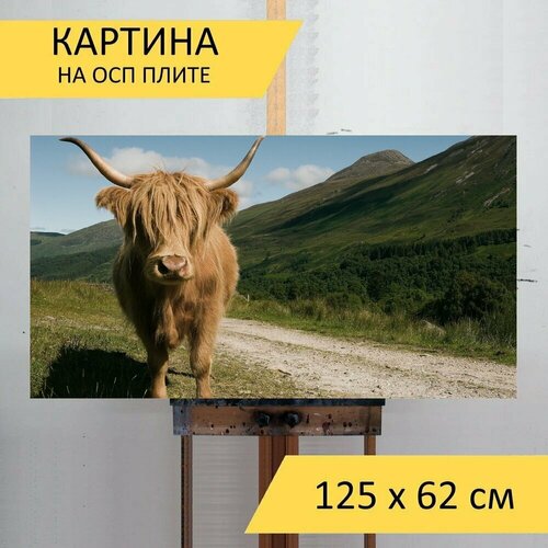 Картина на ОСП 125х62 см. "Нагорье, корова, крупный рогатый скот" горизонтальная, для интерьера, с креплениями