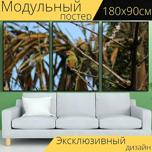Модульный постер "Попугай, птица, зеленый попугай" 180 x 90 см. для интерьера