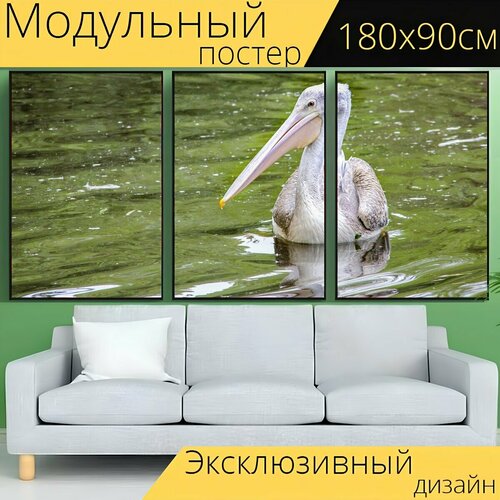Модульный постер "Воды, птица, природа" 180 x 90 см. для интерьера