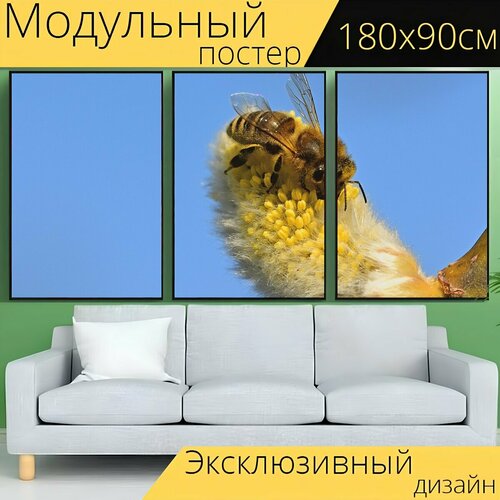 Модульный постер "Пчела, цветочная пыльца, ива" 180 x 90 см. для интерьера