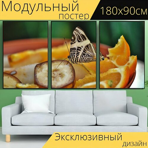Модульный постер "Бабочка, насекомое, фрукты" 180 x 90 см. для интерьера