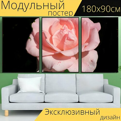 Модульный постер "Цветок, роуз, розовый" 180 x 90 см. для интерьера