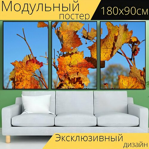Модульный постер "Листья, лоза, осень" 180 x 90 см. для интерьера