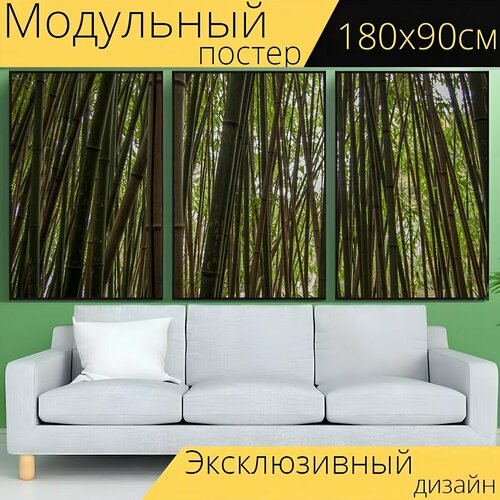 Модульный постер "Бамбук, лес, дзен" 180 x 90 см. для интерьера