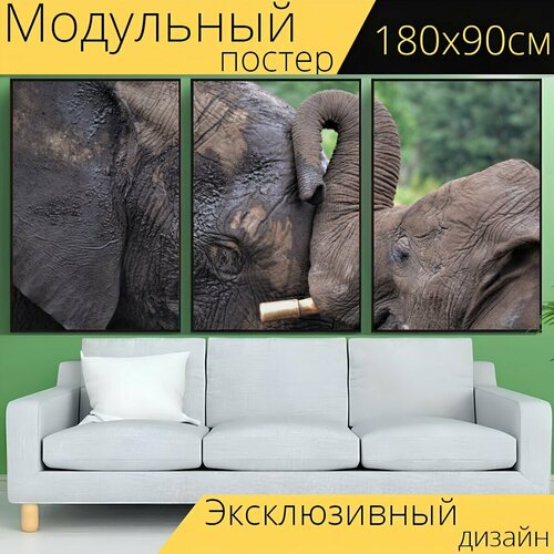 Модульный постер "Слоны, слоны головки, слонов люблю" 180 x 90 см. для интерьера