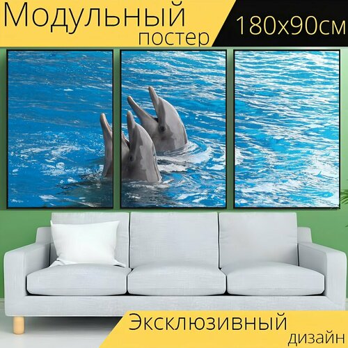 Модульный постер "Дельфин, дельфины, китообразный" 180 x 90 см. для интерьера