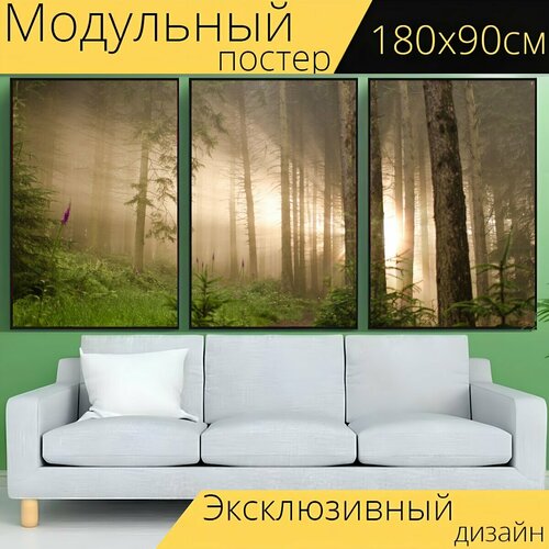 Модульный постер "Лес, деревья, солнечный свет" 180 x 90 см. для интерьера