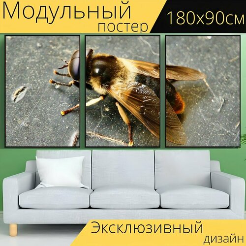 Модульный постер "Летать, насекомое, жук" 180 x 90 см. для интерьера