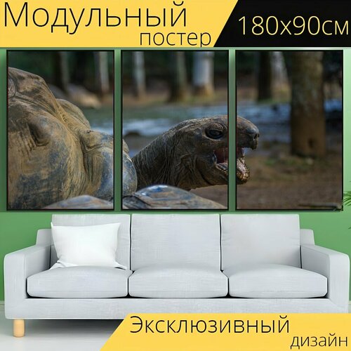 Модульный постер "Черепаха, гигантская черепаха, природа" 180 x 90 см. для интерьера