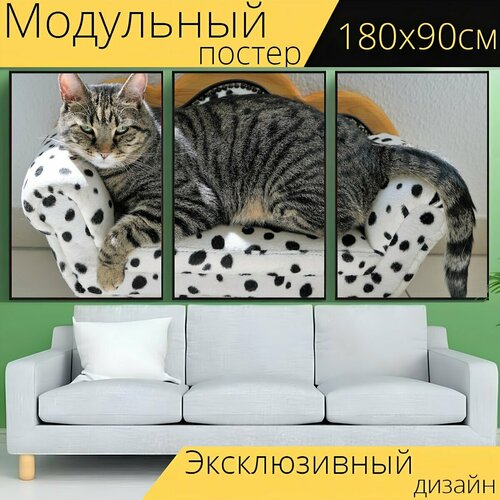Модульный постер "Кот, тигр, диван" 180 x 90 см. для интерьера