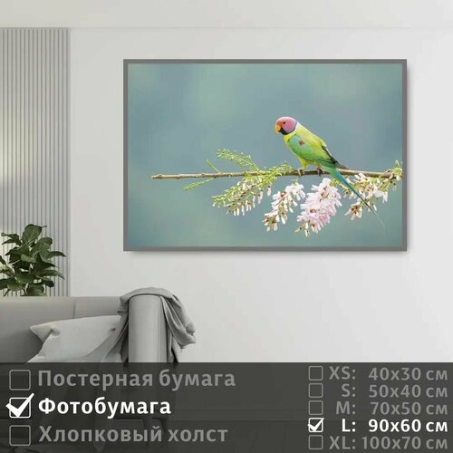 Постер на фотобумаге Попугай Сидит На Цветущей Ветке 90х60 см ПолиЦентр