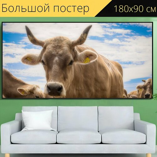 Большой постер "Коровы, бычий, сельское хозяйство" 180 x 90 см. для интерьера