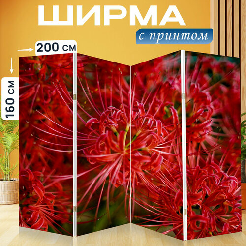 Ширма перегородка с принтом "Амариллис, цветы, амариллисовые" на холсте - 200x160 см. для зонирования, раскладная