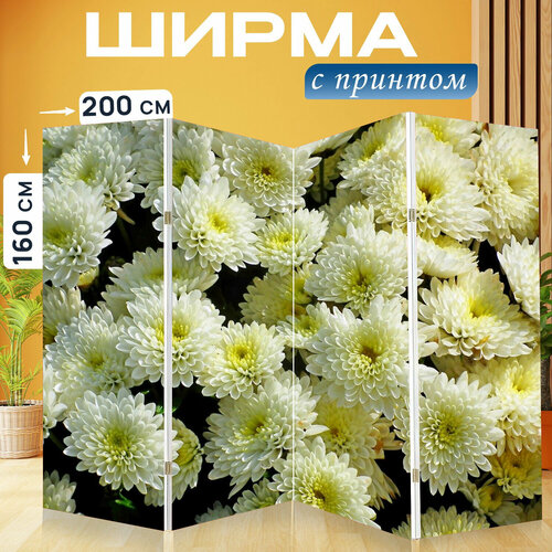 Ширма перегородка с принтом "Хризантемы, цветы, растения" на холсте - 200x160 см. для зонирования, раскладная