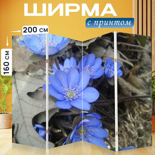 Ширма перегородка с принтом "Природа, флора, цветок" на холсте - 200x160 см. для зонирования, раскладная