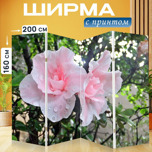 Ширма перегородка с принтом "Роза, планта, флора" на холсте - 200x160 см. для зонирования, раскладная