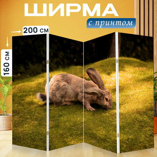 Ширма перегородка с принтом "Кролик, грызун, трава" на холсте - 200x160 см. для зонирования, раскладная