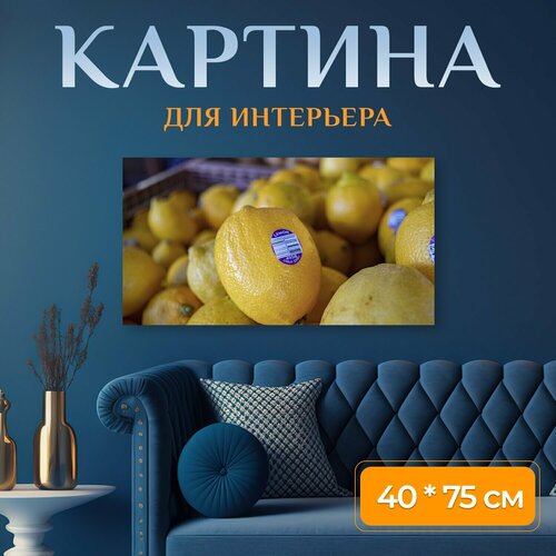 Картина на холсте "Лимон, цитрусовые, фрукты" на подрамнике 75х40 см. для интерьера