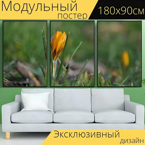 Модульный постер "Крокусы, весна, цветы" 180 x 90 см. для интерьера