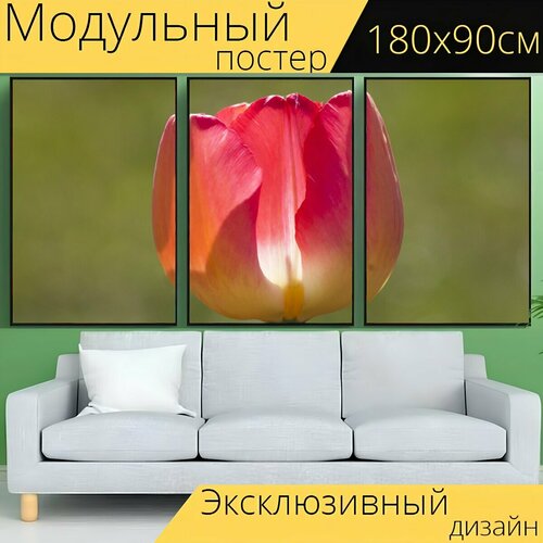 Модульный постер "Тюльпан, лилии, весна" 180 x 90 см. для интерьера