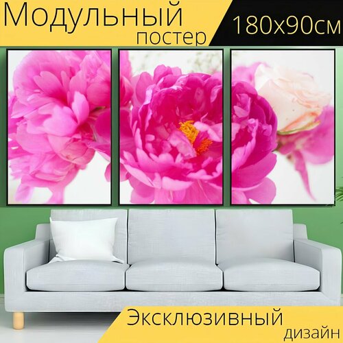 Модульный постер "Милый, розовый, цветок" 180 x 90 см. для интерьера