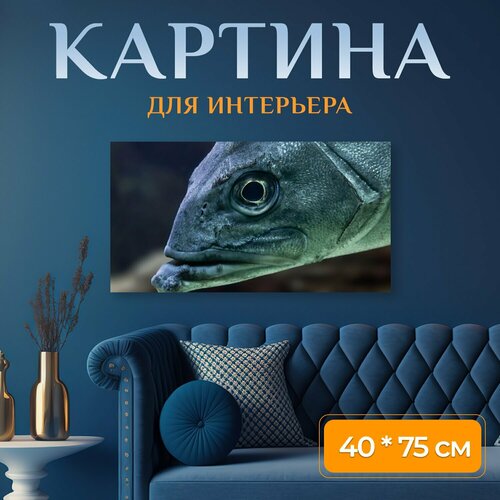 Картина на холсте "Рыба, голова, воды" на подрамнике 75х40 см. для интерьера