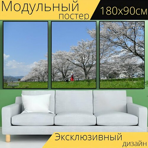 Модульный постер "Ряд деревьев сакуры, весна, прогулка" 180 x 90 см. для интерьера