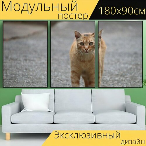 Модульный постер "Кошка, кошачьи, ру" 180 x 90 см. для интерьера