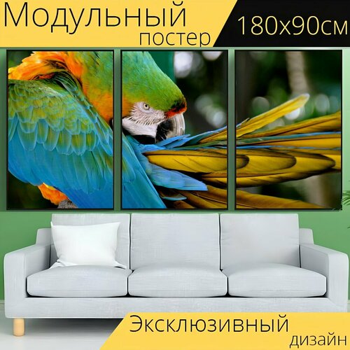 Модульный постер "Попугай, птица, перья" 180 x 90 см. для интерьера
