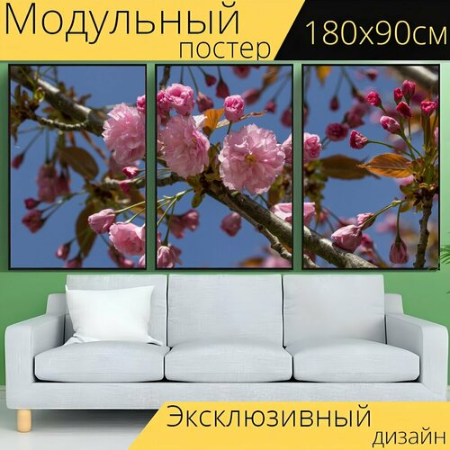 Модульный постер "Весна, вишня в цвету, розовый" 180 x 90 см. для интерьера