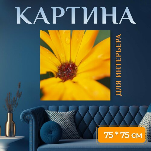 Картина на холсте "Подсолнух, капля росы, цветок" на подрамнике 75х75 см. для интерьера
