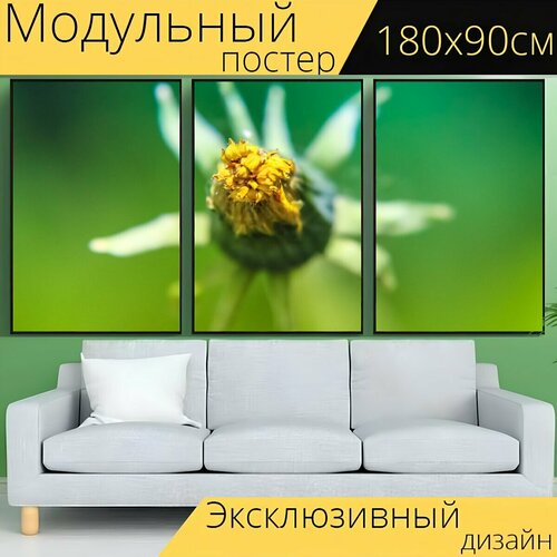 Модульный постер "Одуванчик, цветок, жёлтый" 180 x 90 см. для интерьера