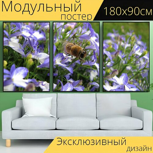 Модульный постер "Пчела, цветок, луг" 180 x 90 см. для интерьера