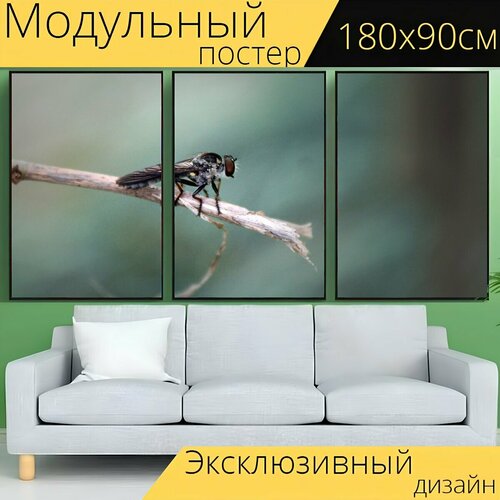 Модульный постер "Природа, насекомое, летать" 180 x 90 см. для интерьера