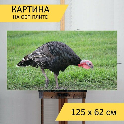 Картина на ОСП 125х62 см. "Турция, животное, птица" горизонтальная, для интерьера, с креплениями