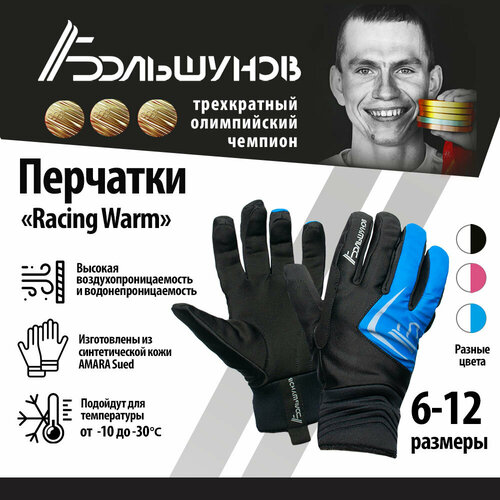 Перчатки Александр Большунов, размер 6, синий